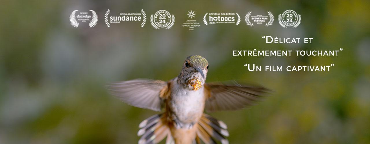 Ushuaïa TV site officiel de la chaîne. Programmes et vidéos Ushuaia TV.